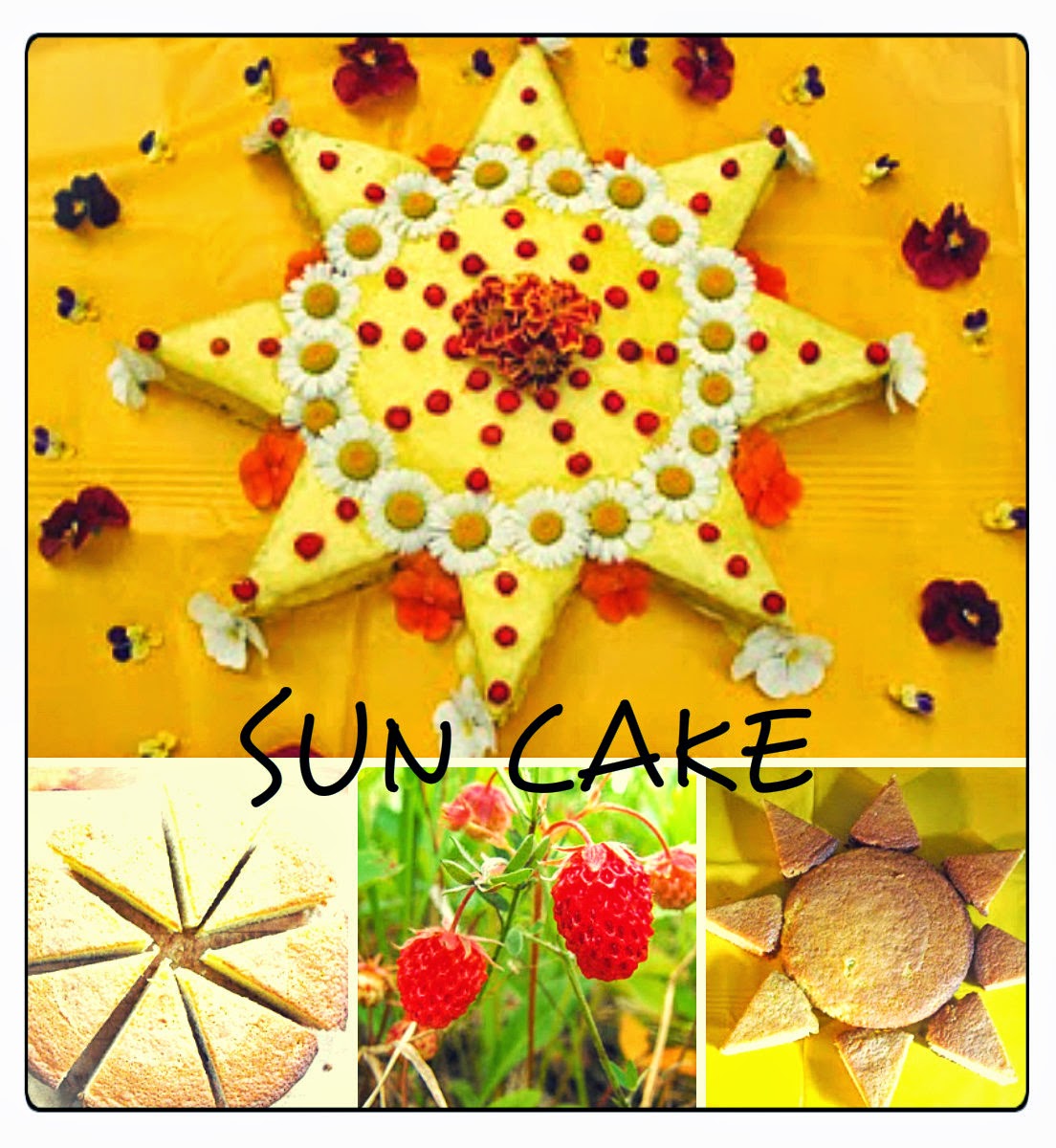 Twig and Toadstool: Here Come the Sun Week! Let's Bake a Sun Cake!!!!