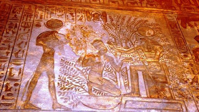 amudu: The Ished tree of ancient Egypt is a fantastic mystery.