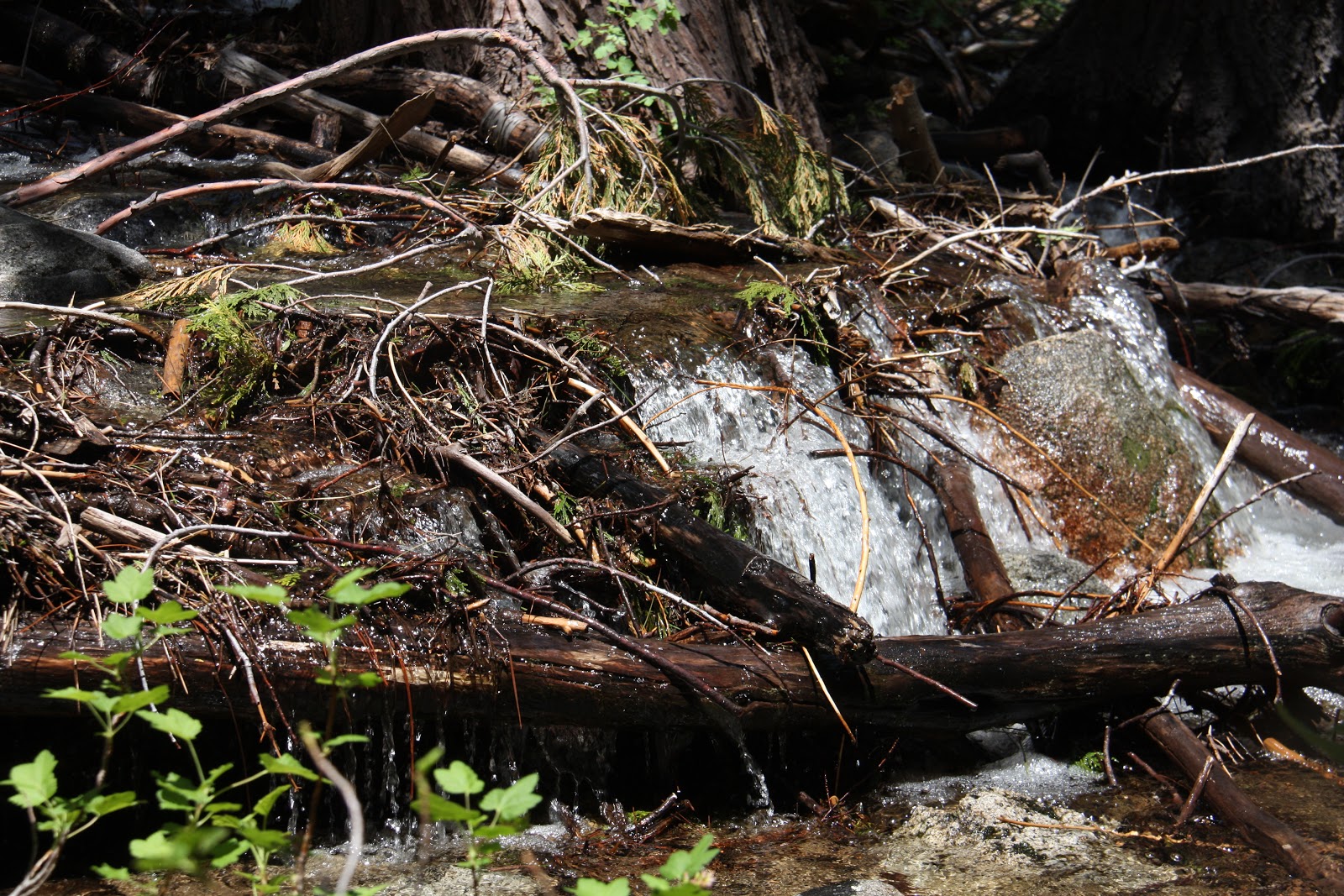 Lostentry - Welztalbahn, Model Railroading, and more: Chasing ...