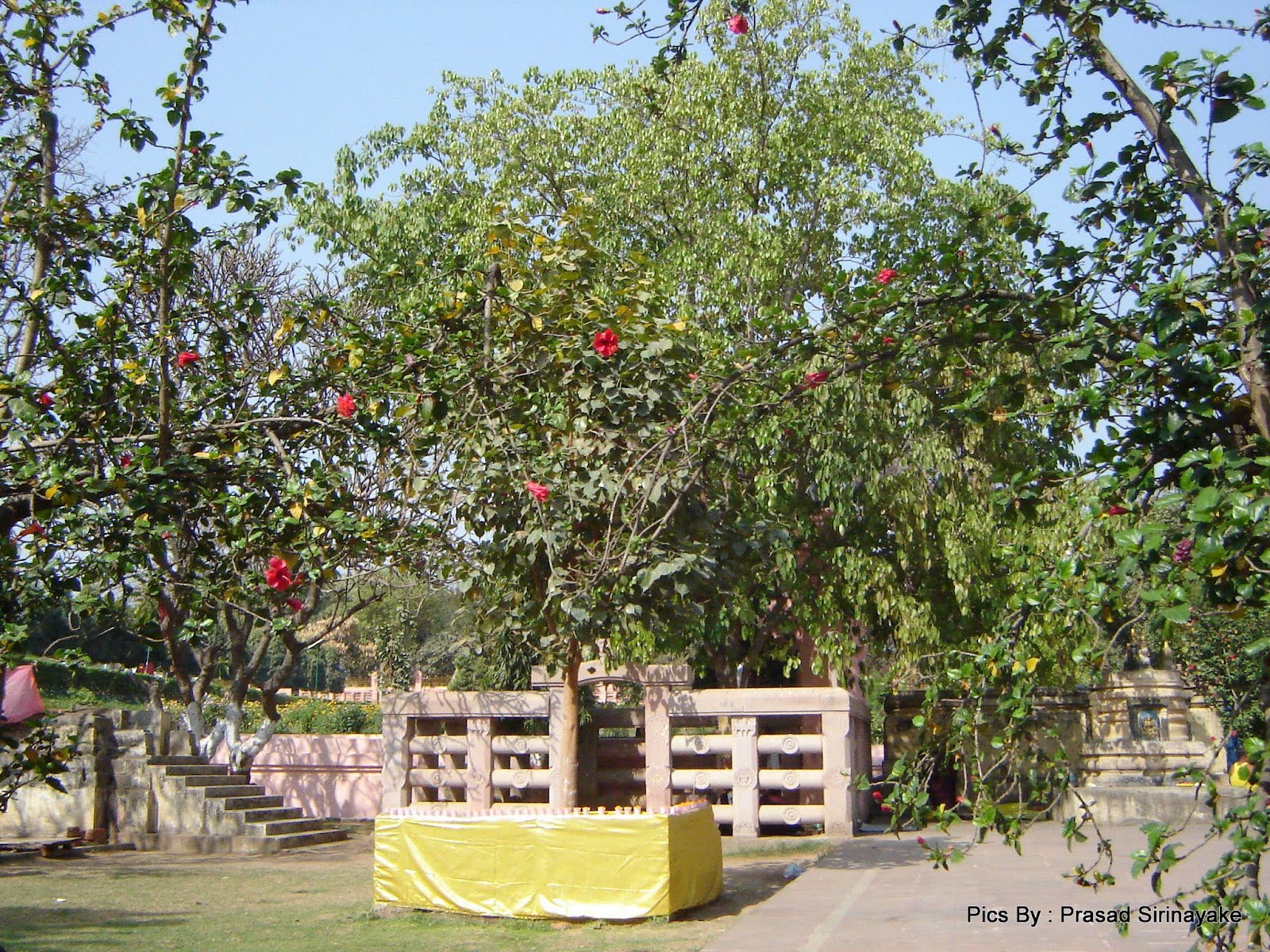 Pilgrimage to Dambadiva 2012: Sath Sathiya