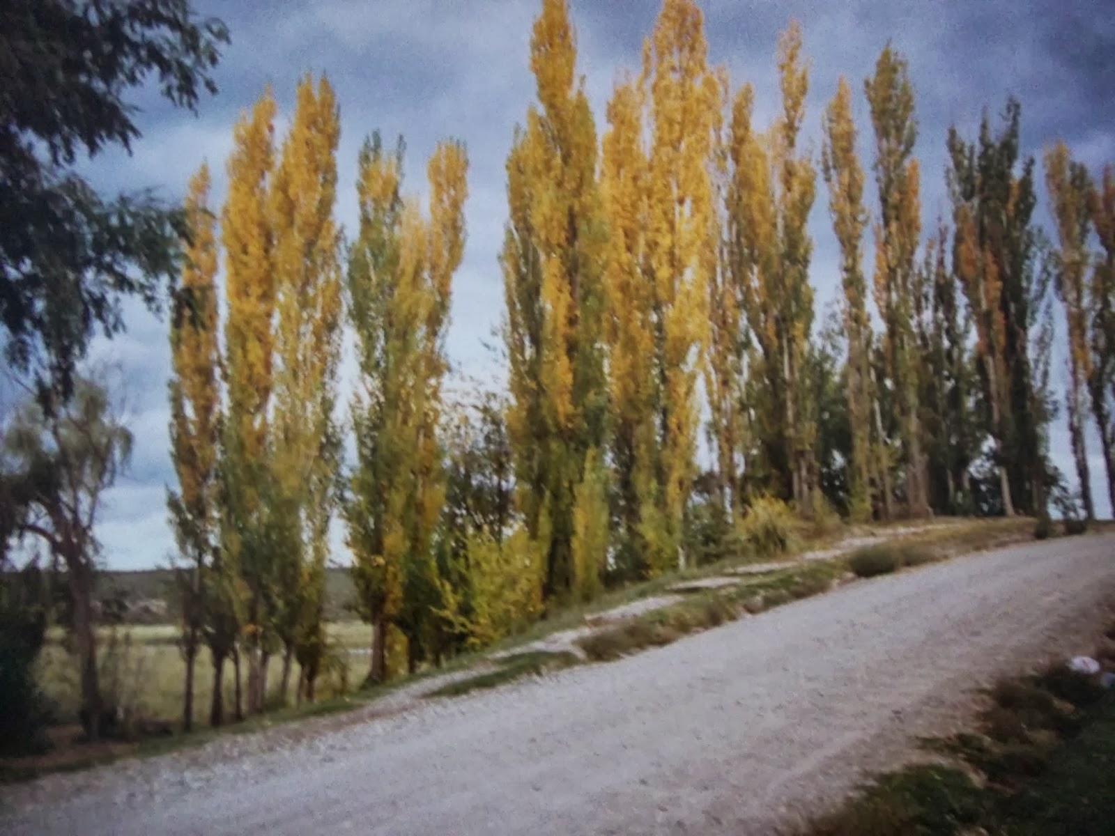 Mil cosas de Tunuyán: SIETE MARAVILLAS DE TUNUYÁN