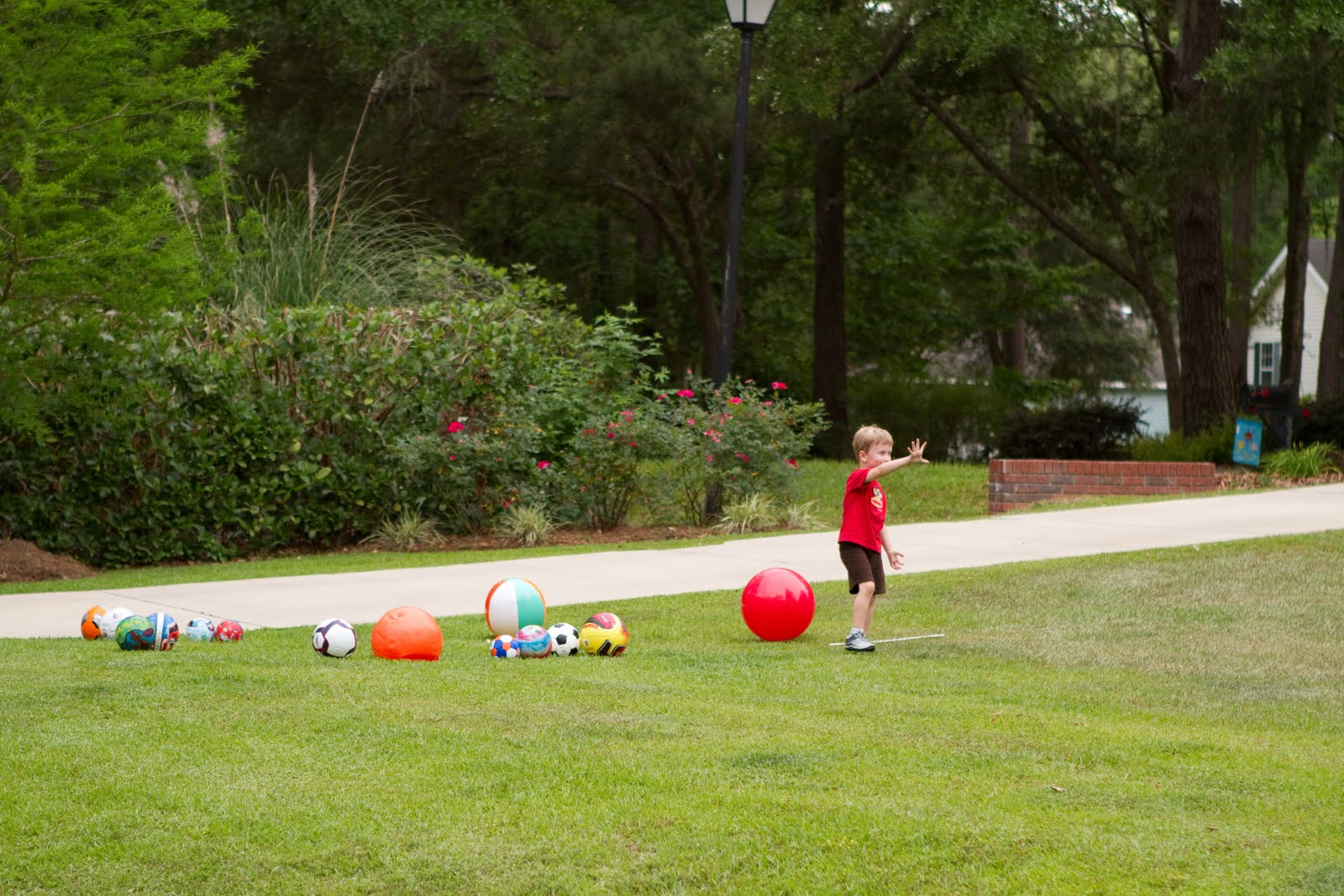 The Birdwell Buzz: Great Balls of Fun!
