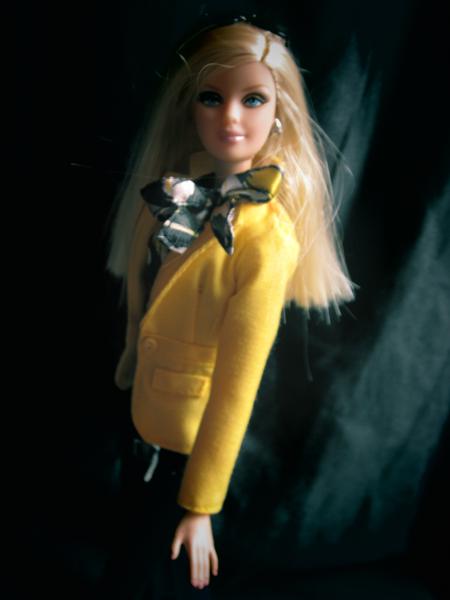 BARBIE SARAI: TIM GUNN DOLL 1