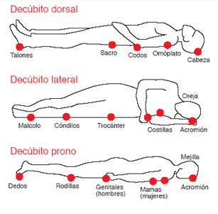 Fisioterapia: La Posición Anatómica, Planimetría y Términos de relación