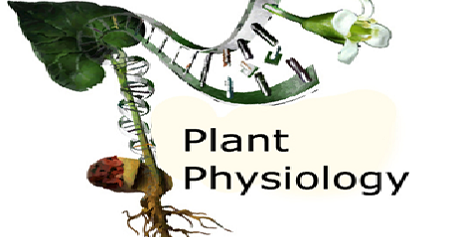 SciFed Journal of Plant Phythology: Teaching Plant Anatomy