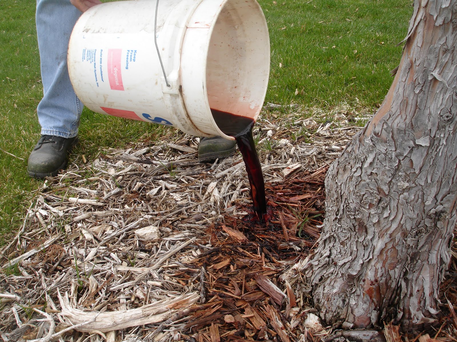 Ogden Botanical Gardens: Prevent This From Happening in Your Yard