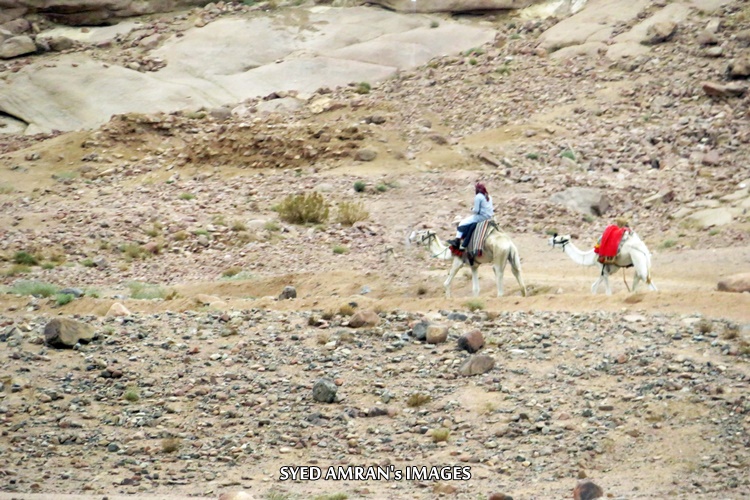 Agar Aku Tidak Lupa: EGYPT - DAY 04 - PART 04 - MAKAM NABI HARUN AS ...