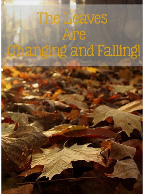 The Prep Way: Oh The Many Meanings Of Fall!