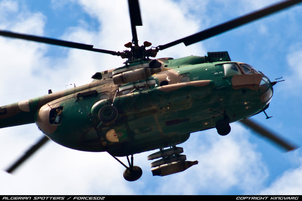 Welcome to Kingvarg Aviation: Algerian air force Mil-Mi 171 SM-45