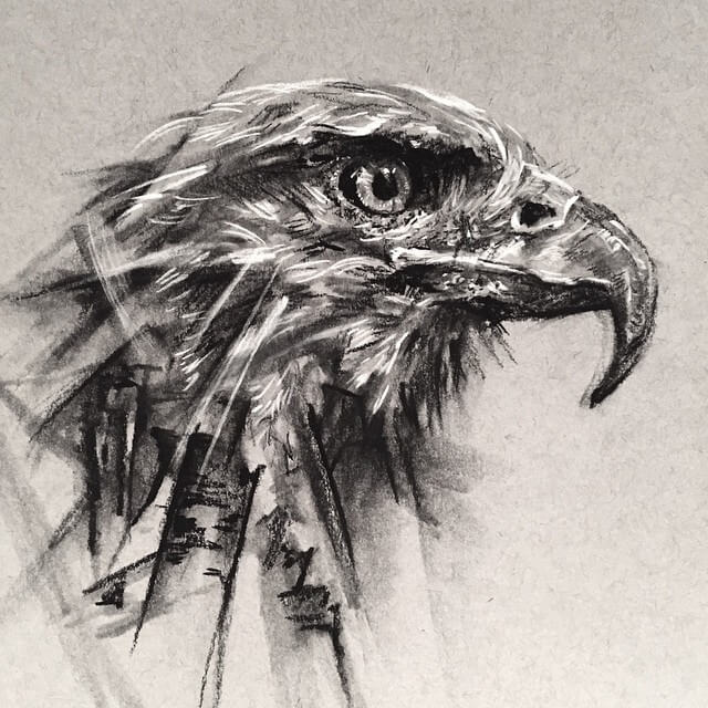 Design Stack: A Blog about Art, Design and Architecture: Animal ...