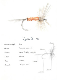Artificial flies for fishing drawings and paintings: EPHEMEROPTERA