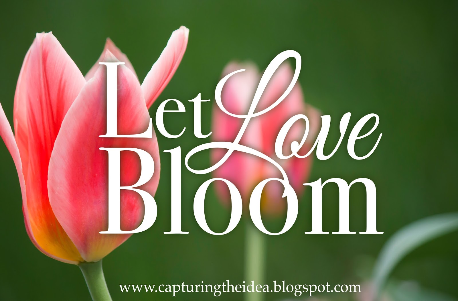 God is Love: Let Love Bloom: The Introduction