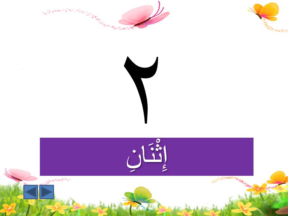 الارقام | حيا بالعربية...