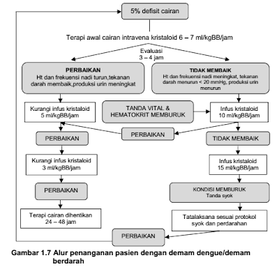 Demam Dengue dan Demam Berdarah Dengue (4A)