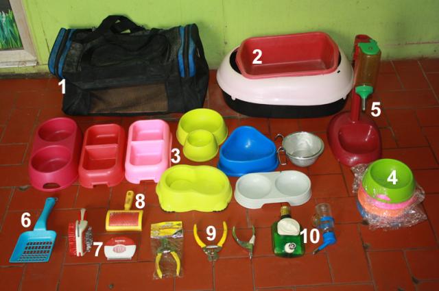 Cara dan Tips Merawat Kucing Anggora (Lengkap BANGET!!!) | Berita ...