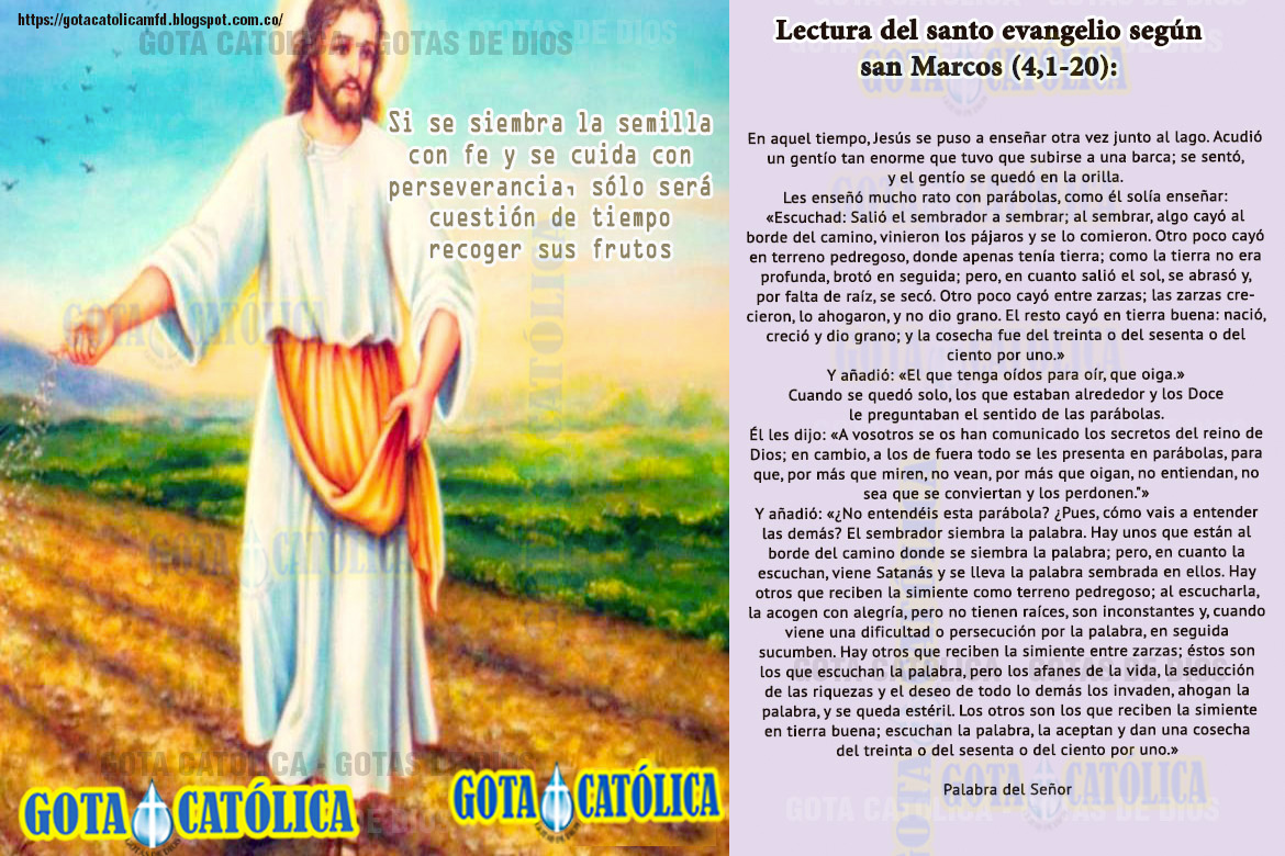 GOTA Católica-Gotas de Dios: Lecturas del Miércoles de la 3ª semana del ...