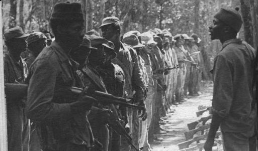 Guerrillas in the Midst: Miscellaneous Groups in Africa