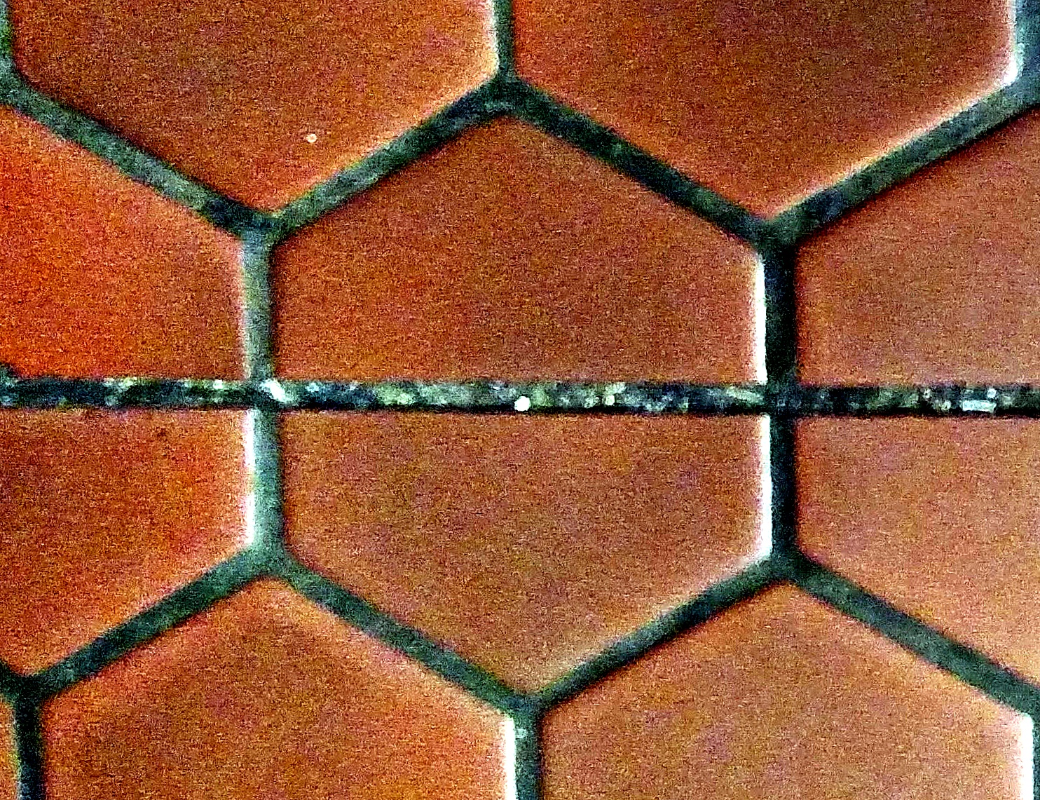 The Mathematical Tourist: Splitting a Hexagon