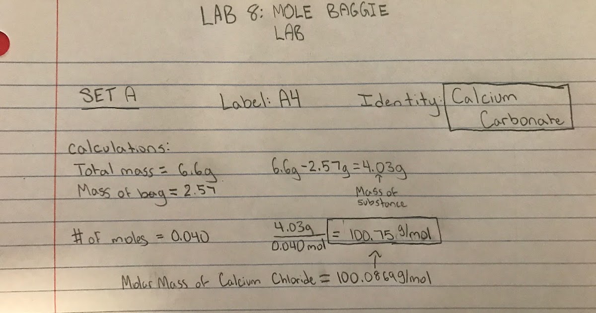 Lab 8: Mole Baggie Lab
