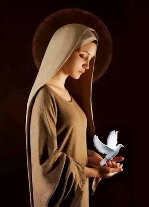 blog do jonildo glória: A mãe do céu