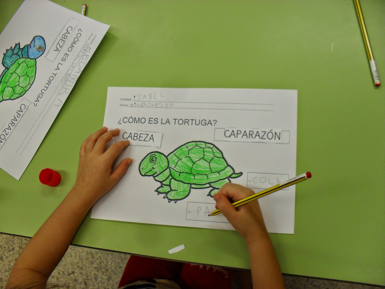 Pequeños monstruitos: ¿CÓMO SON LAS TORTUGAS?