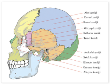 11/12/12 - Ödevvar,oguz hoca, ders anlatımı, Ekol hoca,online testler ...