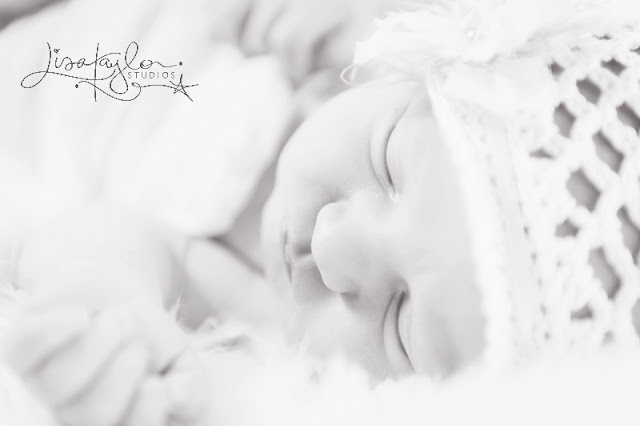 Lisa Taylor Studios | Utah Photographer