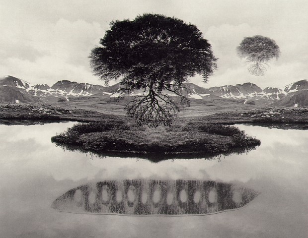 EOU Photo: Jerry N. Uelsmann, Floating Tree