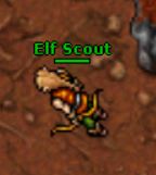 Poradnik zarabiania - Elf Fortress koło Venore - Tibia ~ Tibio-Maniak