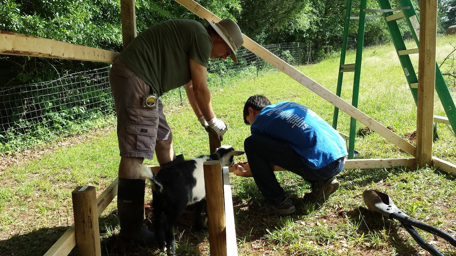 my little farm: ヤギのお昼寝場所完成☆ Goat lean-to completed!