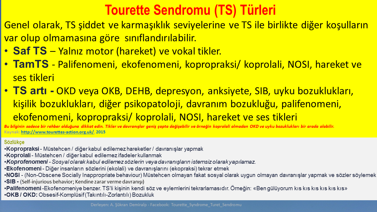 Tourette_Turet_ Sendromu: TOURETTE SENDROMU ve TİKLER