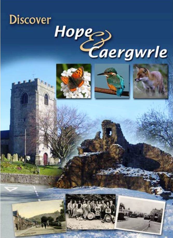 Summitsup: Caer Estyn and Caergwrle Castle