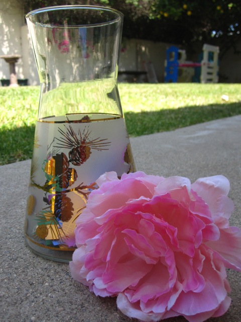 Our Back-to-School Outdoor Activity Jar - GoExploreNature.com