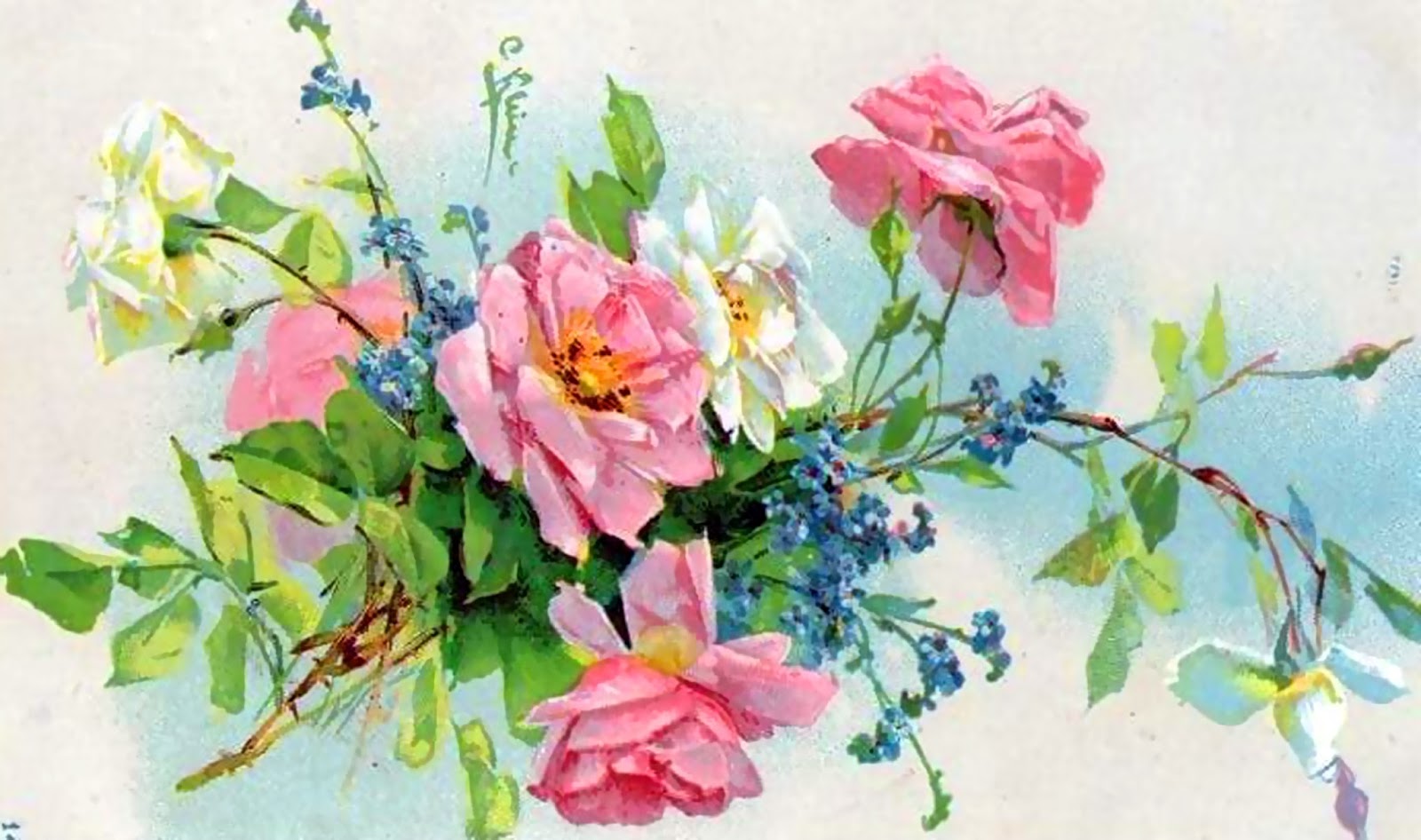 Vintage Art Roses Group Prints Postcard | Joy Design Studio