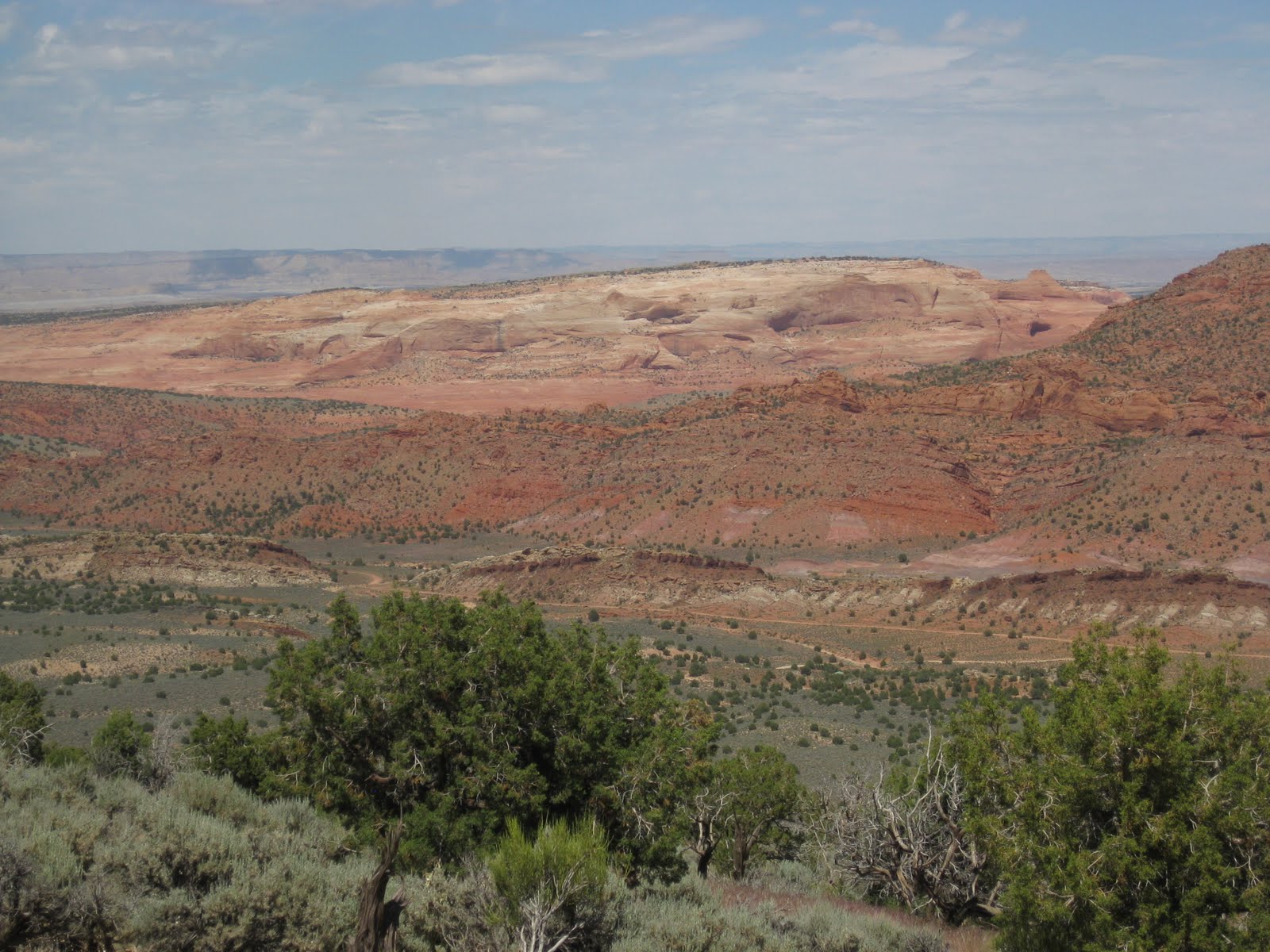 Geology Happens: Where did the Wingate go?