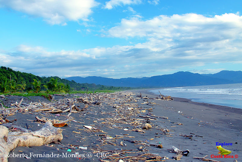 Playa Guacalillo | Explore Costa Rica