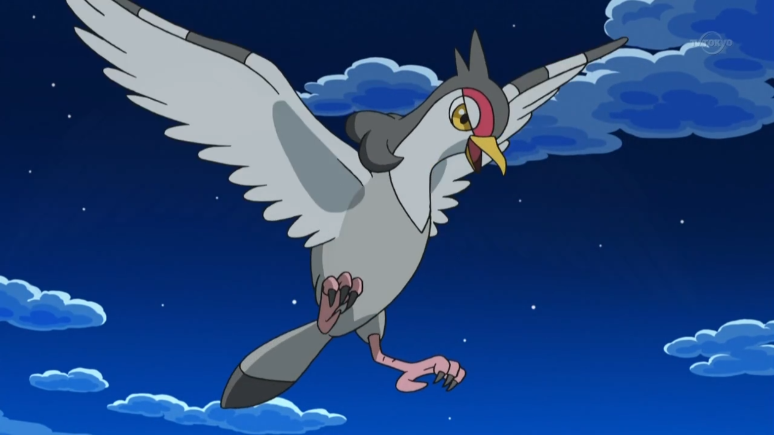 Pokémon by Review: #519 - #521: Pidove, Tranquill & Unfezant
