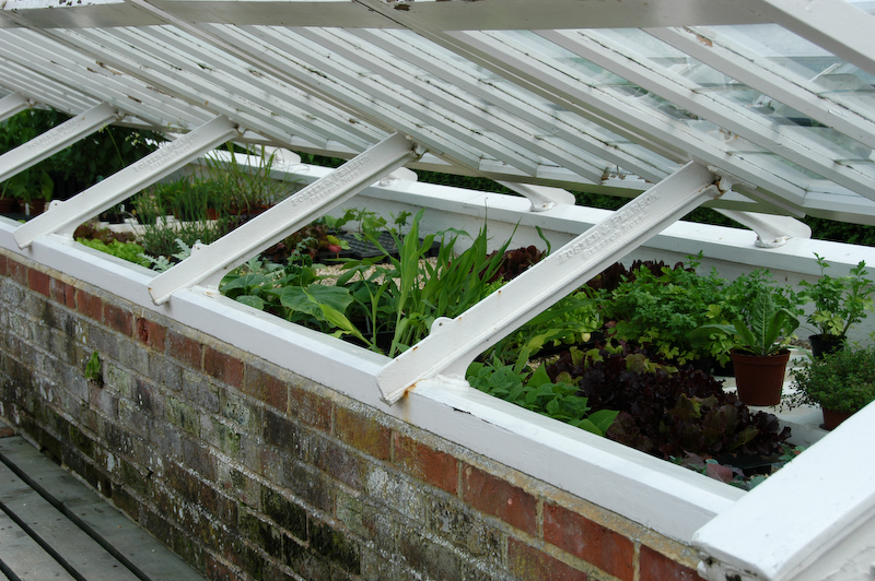 Growing vegetables year-round