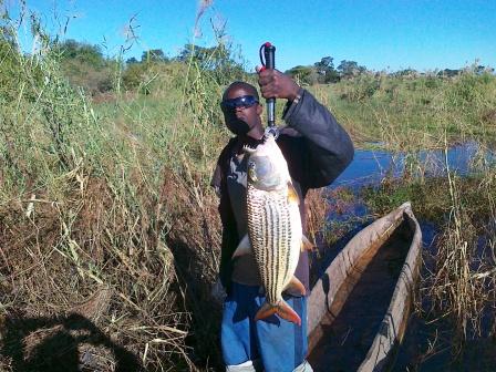 Agri Alert Namibia: Okavango Fishing Break: April/May 2012 Long week-end