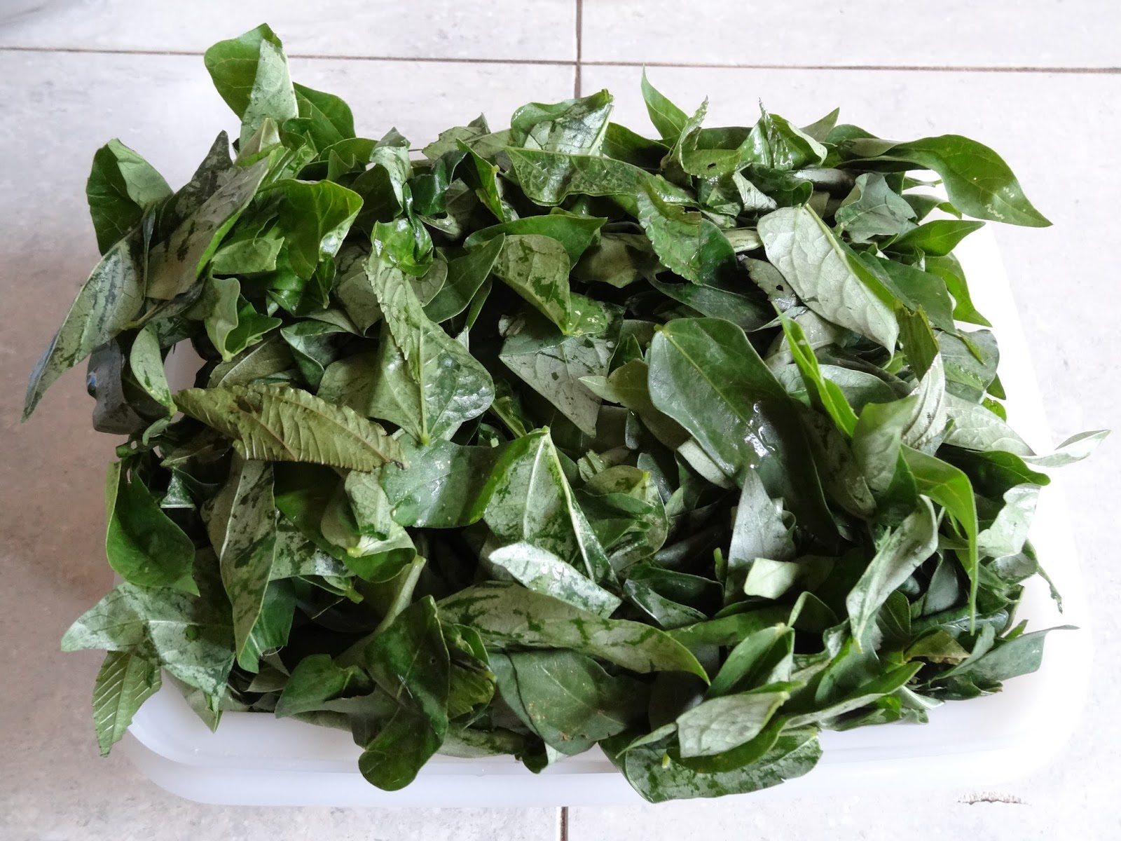 Ugandan Cooking Lesson: Cowpea Leaves (Eboo)