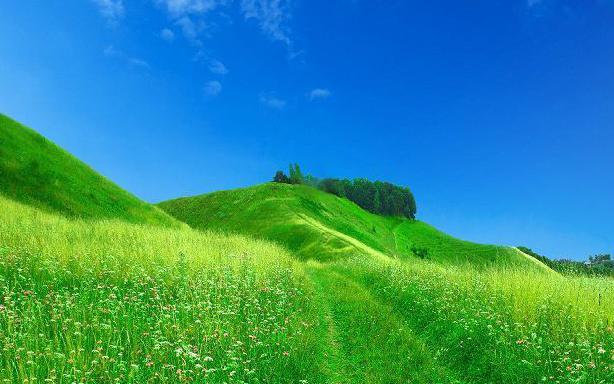 KUMPULAN GAMBAR PEMANDANGAN ALAM PADANG RUMPUT WALLPAPER HD - Animasi ...