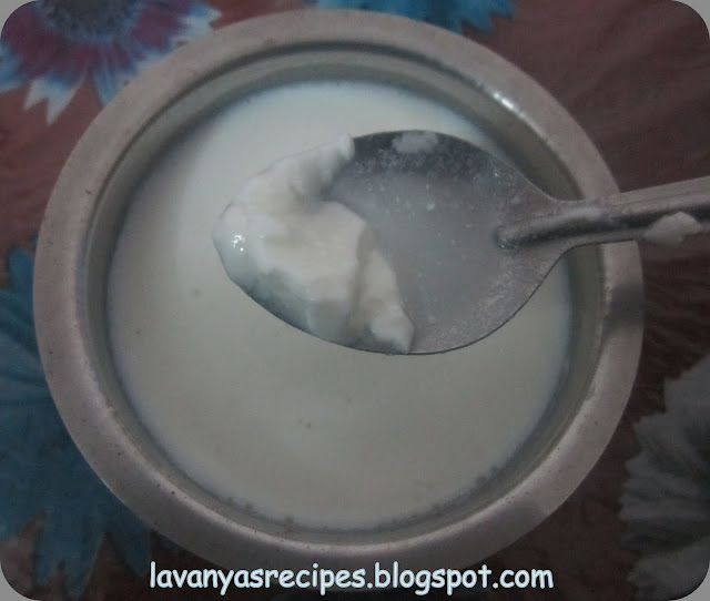 Yogurt / Curd Preparation At Home | Diva Likes