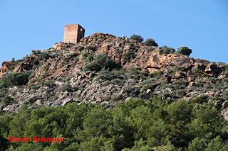 BICHOS Y MAS VLC: DE PASEO POR ALMENARA: EL CASTILLO