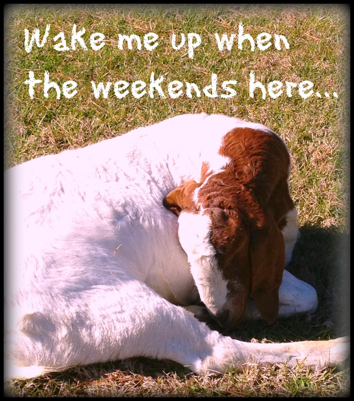 Crafty in Crosby: The Weekend is Almost HERE!!!