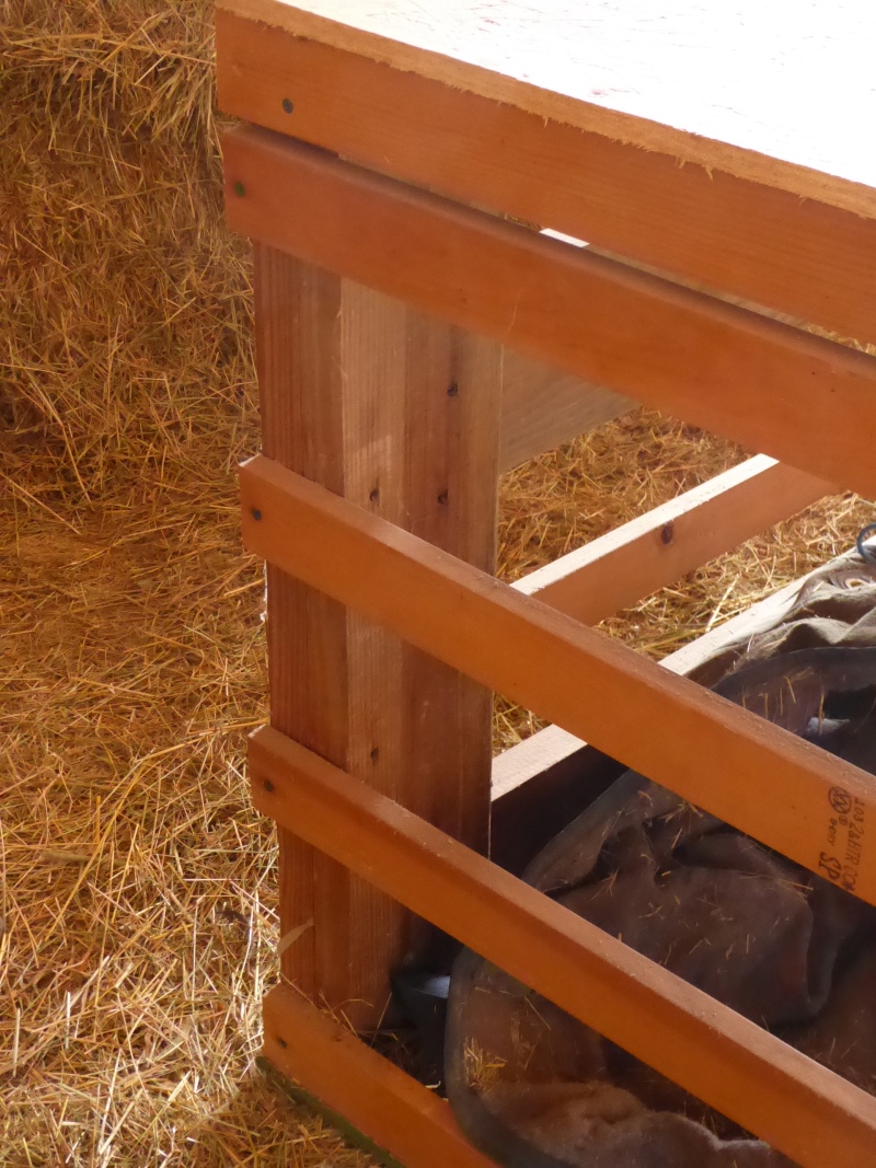 Rural Revolution: Calf cage photos