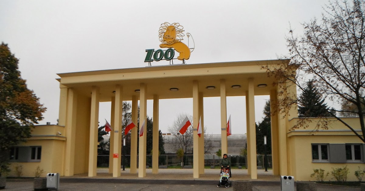 ZOO, Wrocław