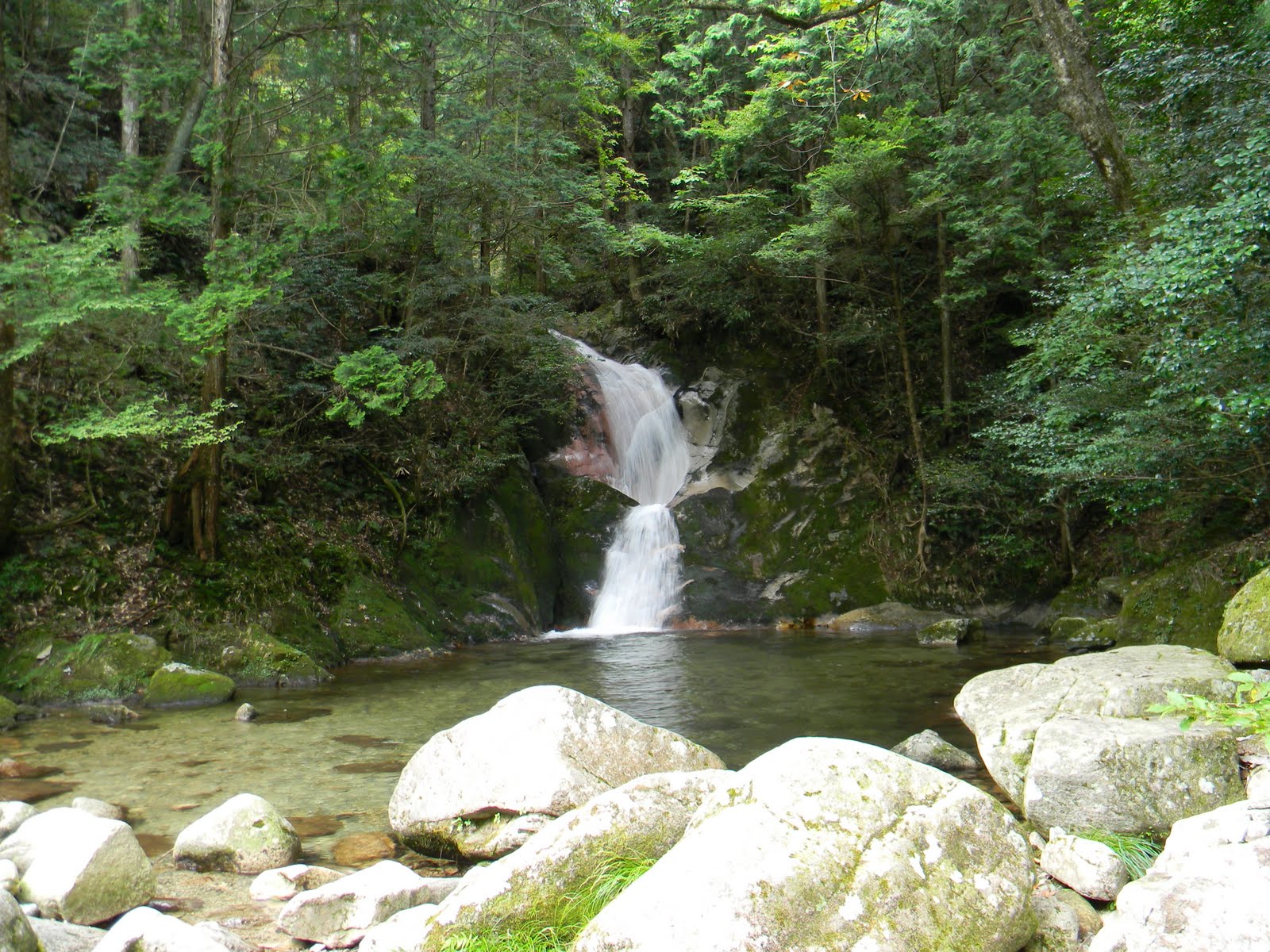 Konichiwa, Iwakuni!: Hiking Seven Falls