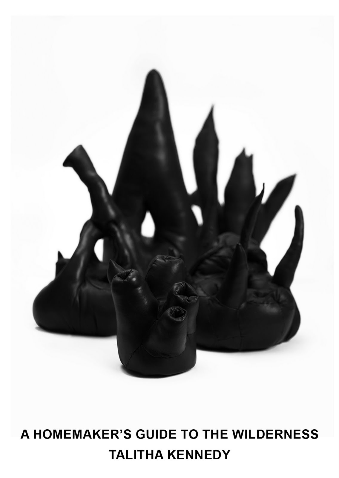 Talitha Kennedy: Masters Show: A homemaker's guide to the Wilderness