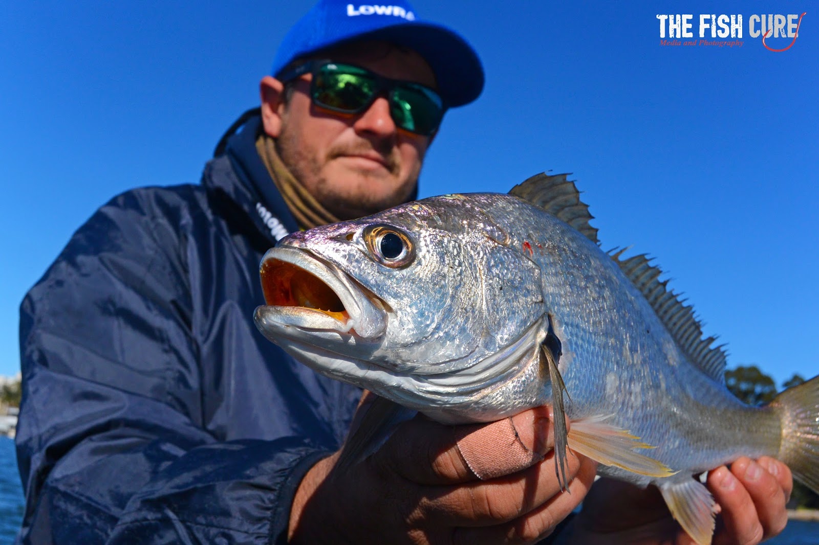 The Fish Cure: THE MULLOWAY CIRCLE
