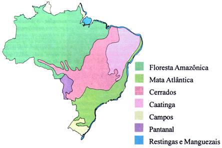 Amazônia: Floresta Amazônica